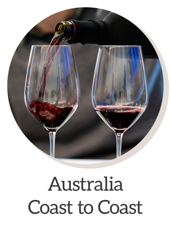 Binny's Wine Tasting Panel – The True Test of a Wine