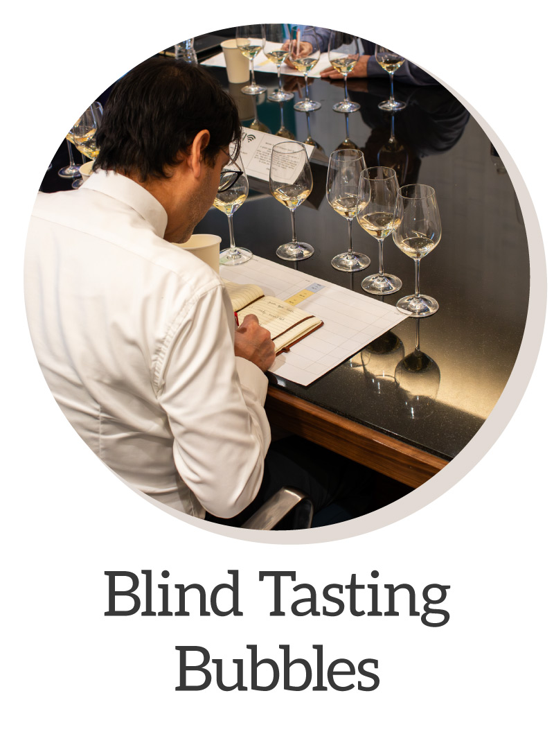 Binny's Wine Tasting Panel – The True Test of a Wine