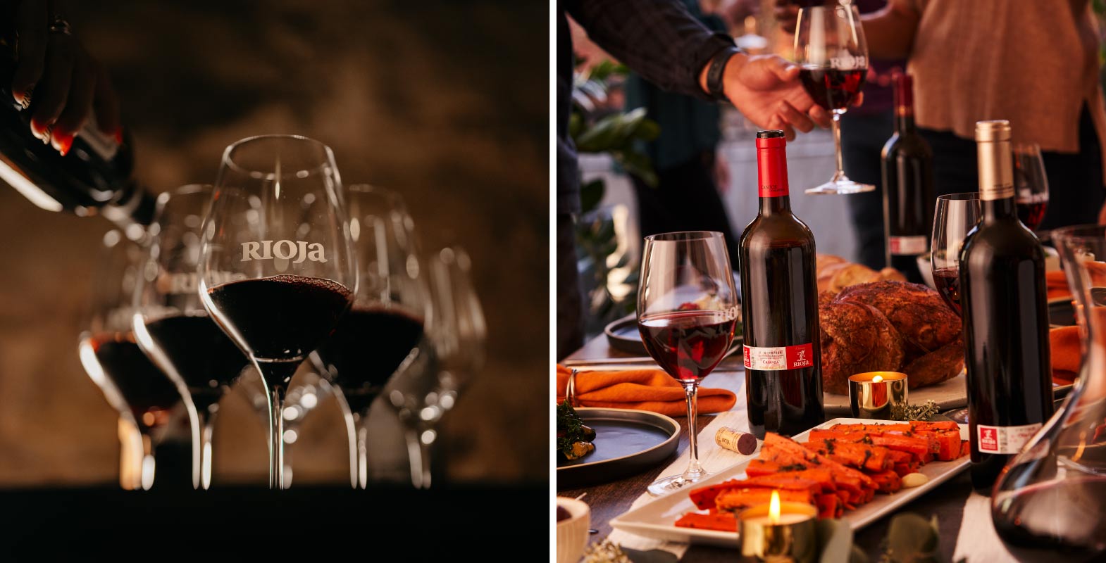 Discover the Wines of Rioja