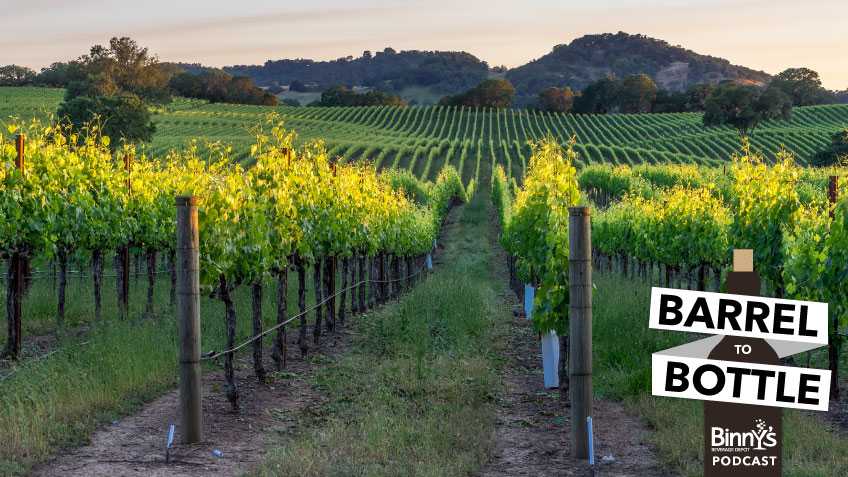 Barrel to Bottle: Bo Barrett of Chateau Montelena