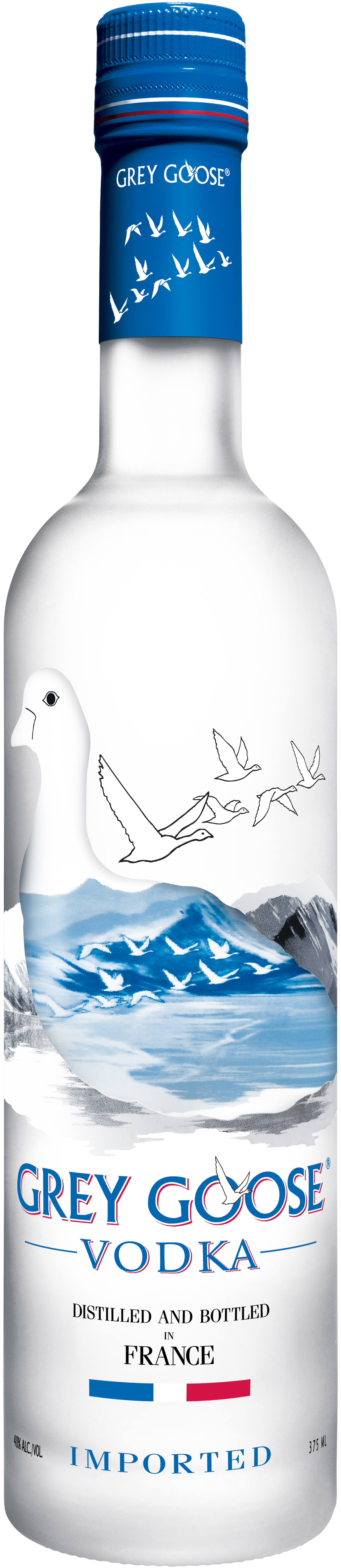 Grey Goose Vodka Bottle Sizes