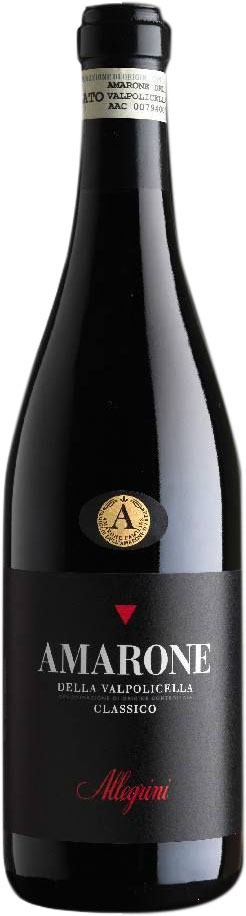 Allegrini Amarone della Valpolicella 2019 | 750 ml Bottle